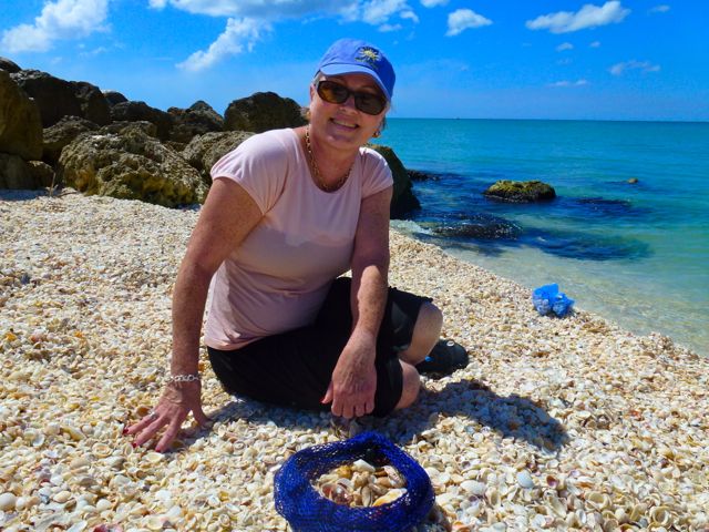 Aqua Water And Seashells | I Love Shelling