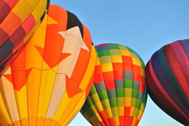 South Florida Balloons To Beach Bling | I Love Shelling