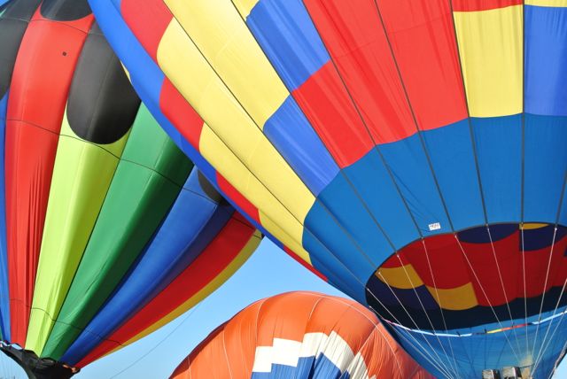 South Florida Balloons To Beach Bling | I Love Shelling