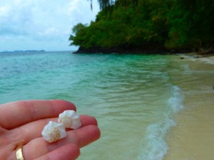 Our Adventures Of Collecting Seashells In Thailand – Part 1 | I Love ...