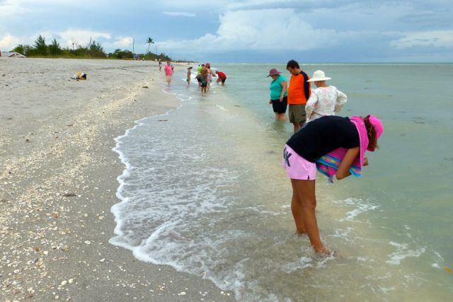 Shelling For Sunshine | I Love Shelling