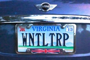 Seashell Dreams Come True | I Love Shelling