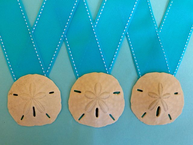 Olympic Style Gold Medal Winning Seashells | I Love Shelling