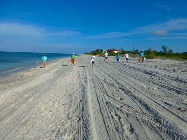2012 Sanibel Coastal Cleanup | I Love Shelling