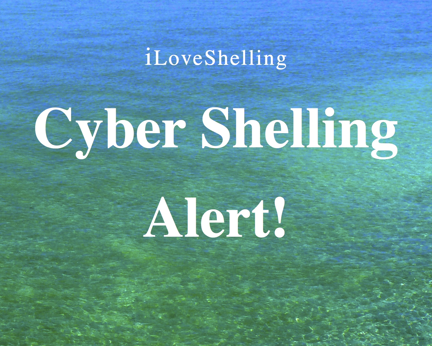 Seashells For Cyber Shellers | I Love Shelling