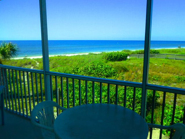 iLoveShelling Shellebrates 3 Years With A Shellabaloo! | I Love Shelling