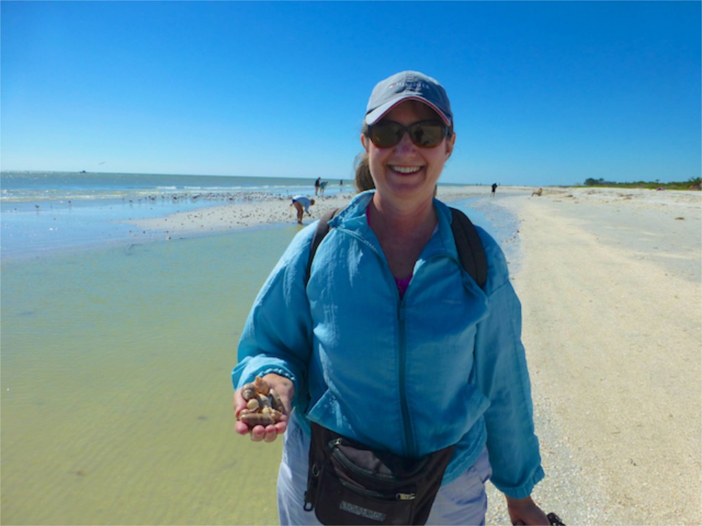 Seashells, Beach Bling and …. Red Tide | I Love Shelling