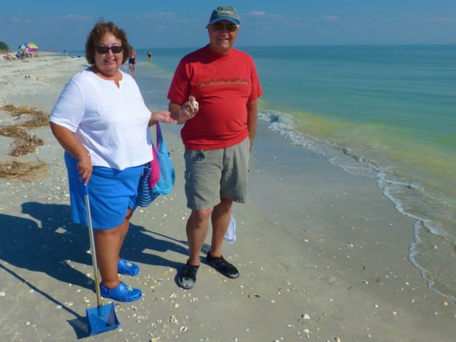 CShells Sees Seashells By The Seashore | I Love Shelling