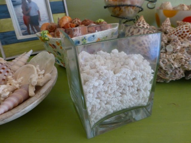 How To Find Wentletrap Shells On Sanibel | I Love Shelling