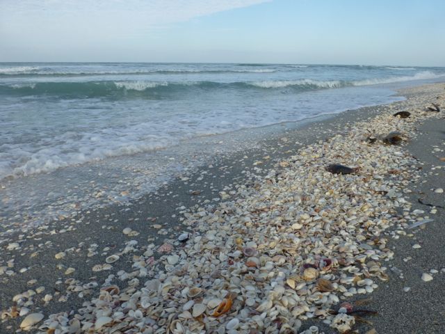 Shifting Shells of Blind Pass Captiva | I Love Shelling