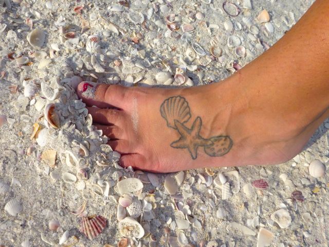 Tattoo Shell Crazy | I Love Shelling