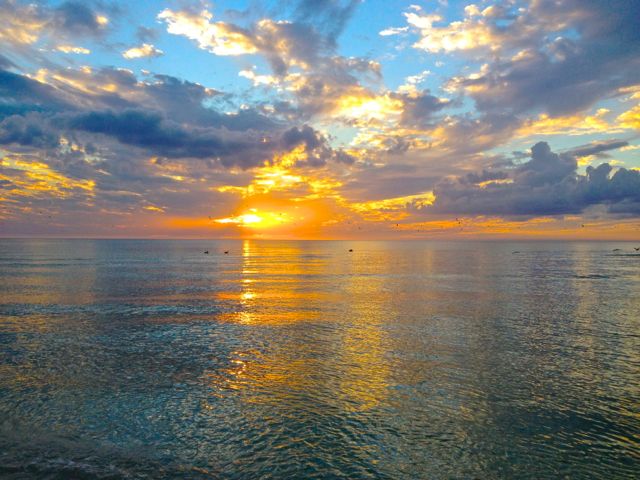 Little Hickory Sunset Seashells | I Love Shelling