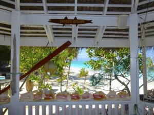 Shelling Trip Adventure To Turks And Caicos | I Love Shelling
