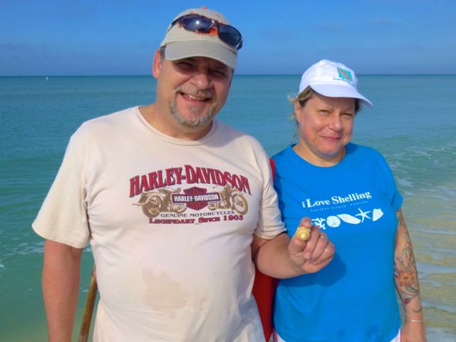 Seashell Star Of The Day | I Love Shelling