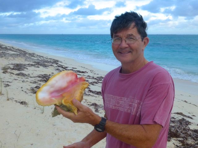 Finding Seashells On Turks And Caicos Islands | I Love Shelling