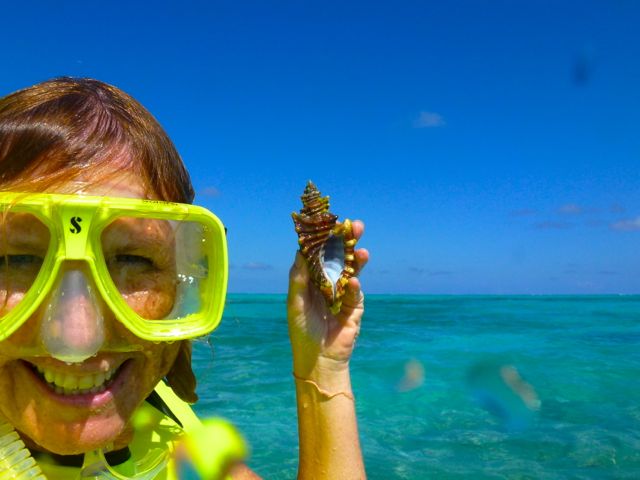 Finding Seashells On Turks And Caicos Islands | I Love Shelling