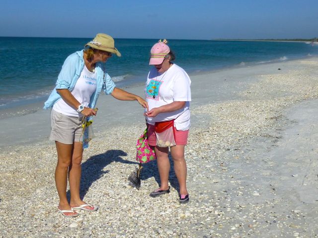 A Shell Of A Good Time! | I Love Shelling