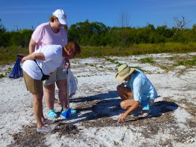 Spectacsheller Times! | I Love Shelling