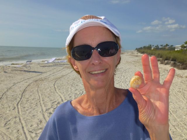 Seashell Show And Tell | I Love Shelling