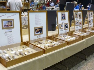 2013 50th Annual Sarasota Shell Show | I Love Shelling