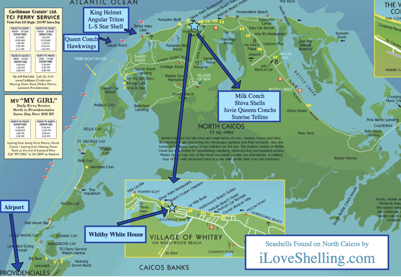 Shelling Trip Adventure To Turks And Caicos | i Love Shelling