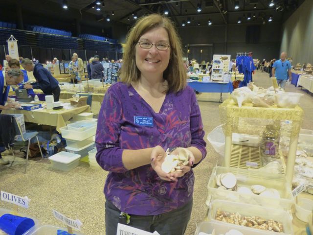 2013 50th Annual Sarasota Shell Show | I Love Shelling