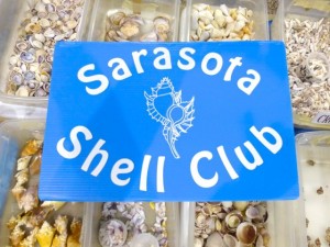2013 50th Annual Sarasota Shell Show | I Love Shelling