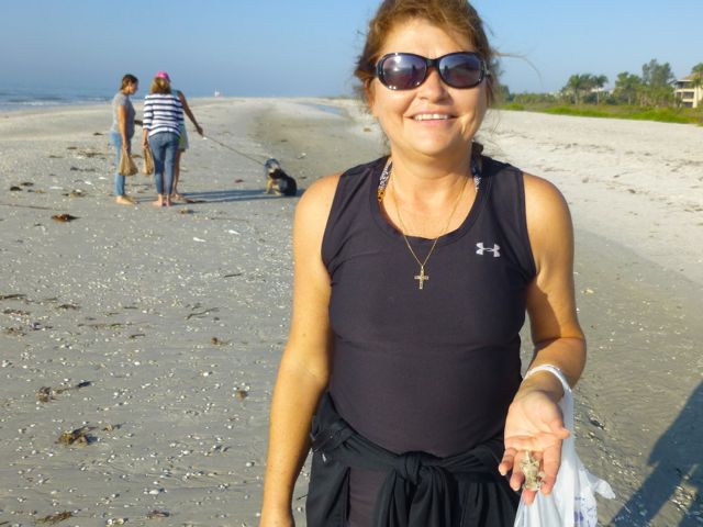 Seahorses | i Love Shelling