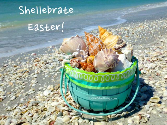 Easter, Sanibel Style! | I Love Shelling
