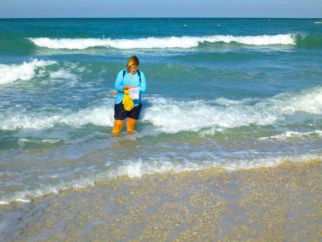 Sanibel Stoop And The Shelling Scoop | I Love Shelling