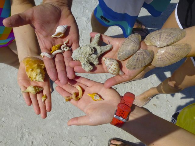 A Boatload of Awesome Shellers to Cayo Costa | I Love Shelling