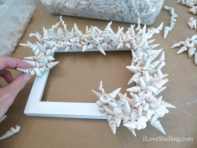 How To Make A Worm Shell Frame | i Love Shelling