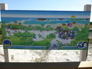 Stopping For Seashells- A Marco Island Day Trip | I Love Shelling