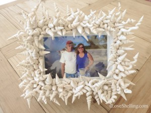 How To Make A Worm Shell Frame | I Love Shelling