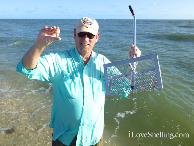 Seashells in the Sanibel Surf | I Love Shelling
