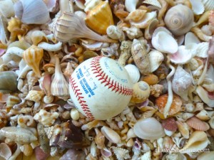 Sheller’s Spring Training Rain Delay | I Love Shelling