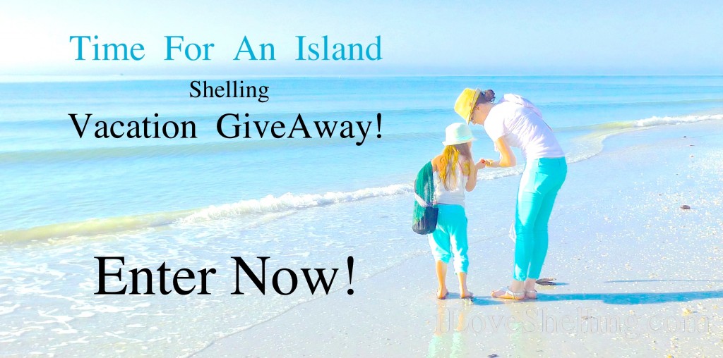 A Shell Of A Vacation | I Love Shelling