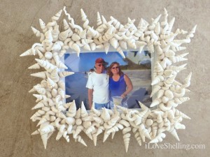 How To Make A Worm Shell Frame | I Love Shelling