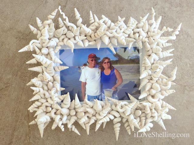 How To Make A Worm Shell Frame | I Love Shelling