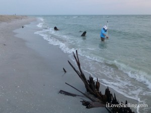 Boom Shellalaka! | I Love Shelling