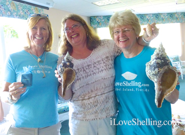 What Is Shellabaloo? | I Love Shelling