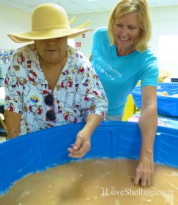 Good Feeling About Seashells | I Love Shelling