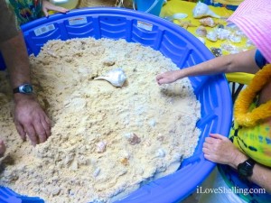 Good Feeling About Seashells | I Love Shelling