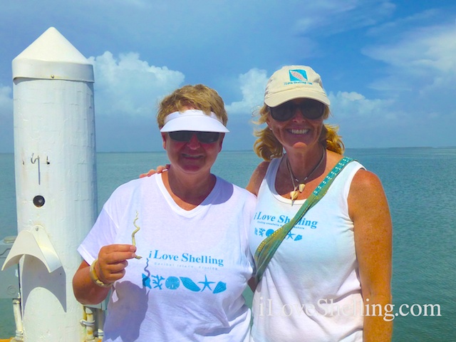 Cruise To Crystal Clear Cayo Costa | I Love Shelling