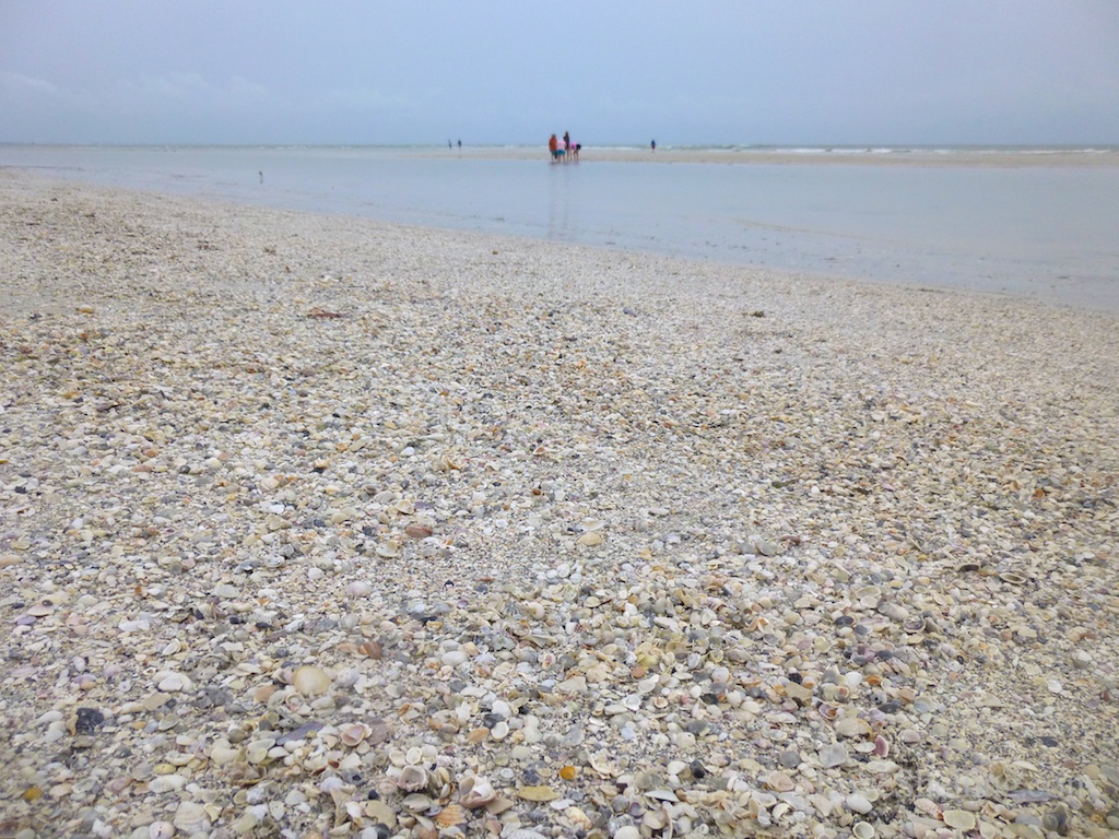 The Calm Before Tropical Storm Andrea On Fort Myers Beach | I Love Shelling