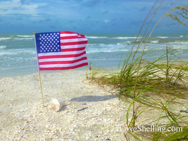Happy Independence Day, Shell Baby! | I Love Shelling