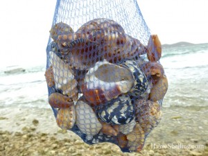 Our Weekend Collecting Seashells In Guantanamo Bay, Cuba | I Love Shelling