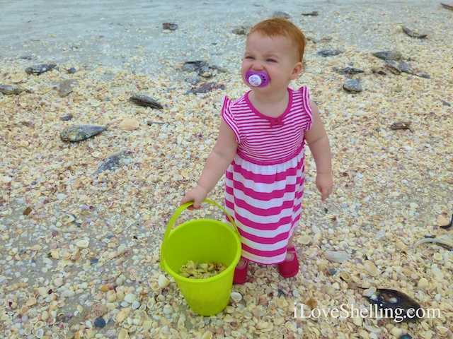 Happy Independence Day, Shell Baby! | I Love Shelling