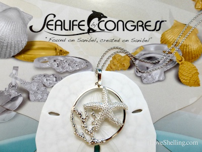 Shelltastic Southwest Florida Vacation GiveAway! | I Love Shelling