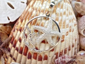 Shelltastic Southwest Florida Vacation GiveAway! | I Love Shelling